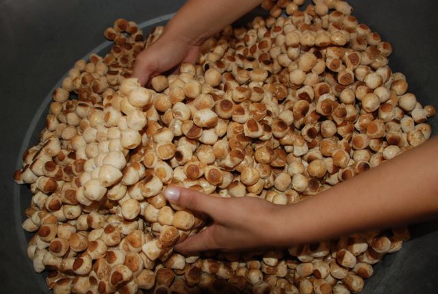 Betulianos: ELABORACION DEL DIABOLIN